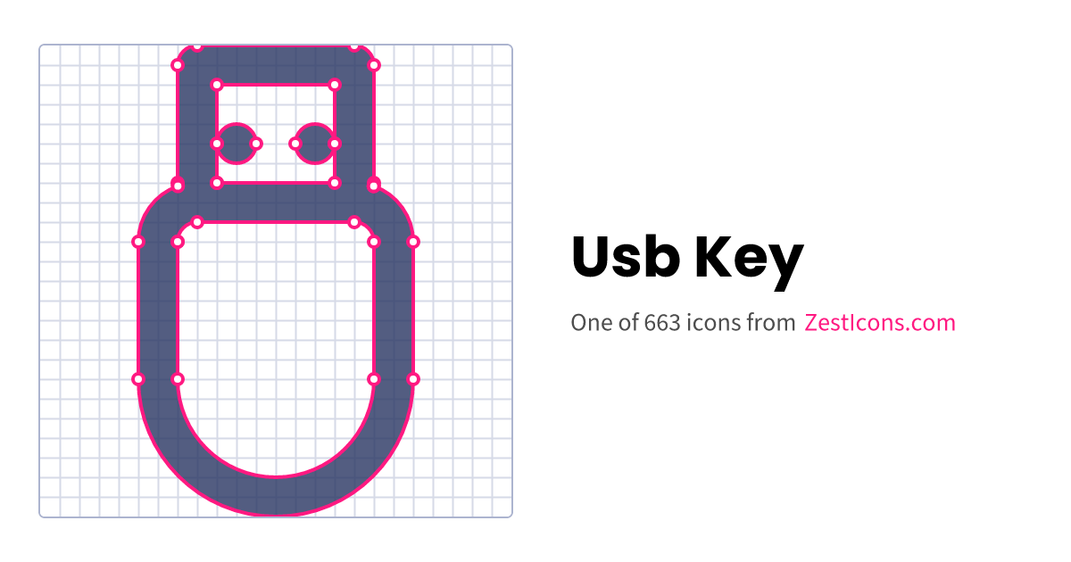 Usb-key Icon | Zest Icons